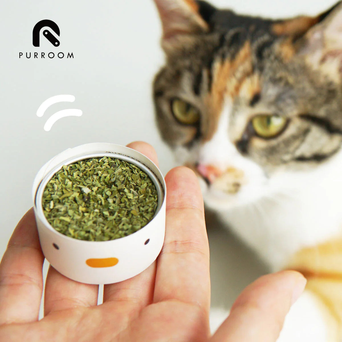 PURROOM Dried Natural Catnip 3G – Momo pet grooming